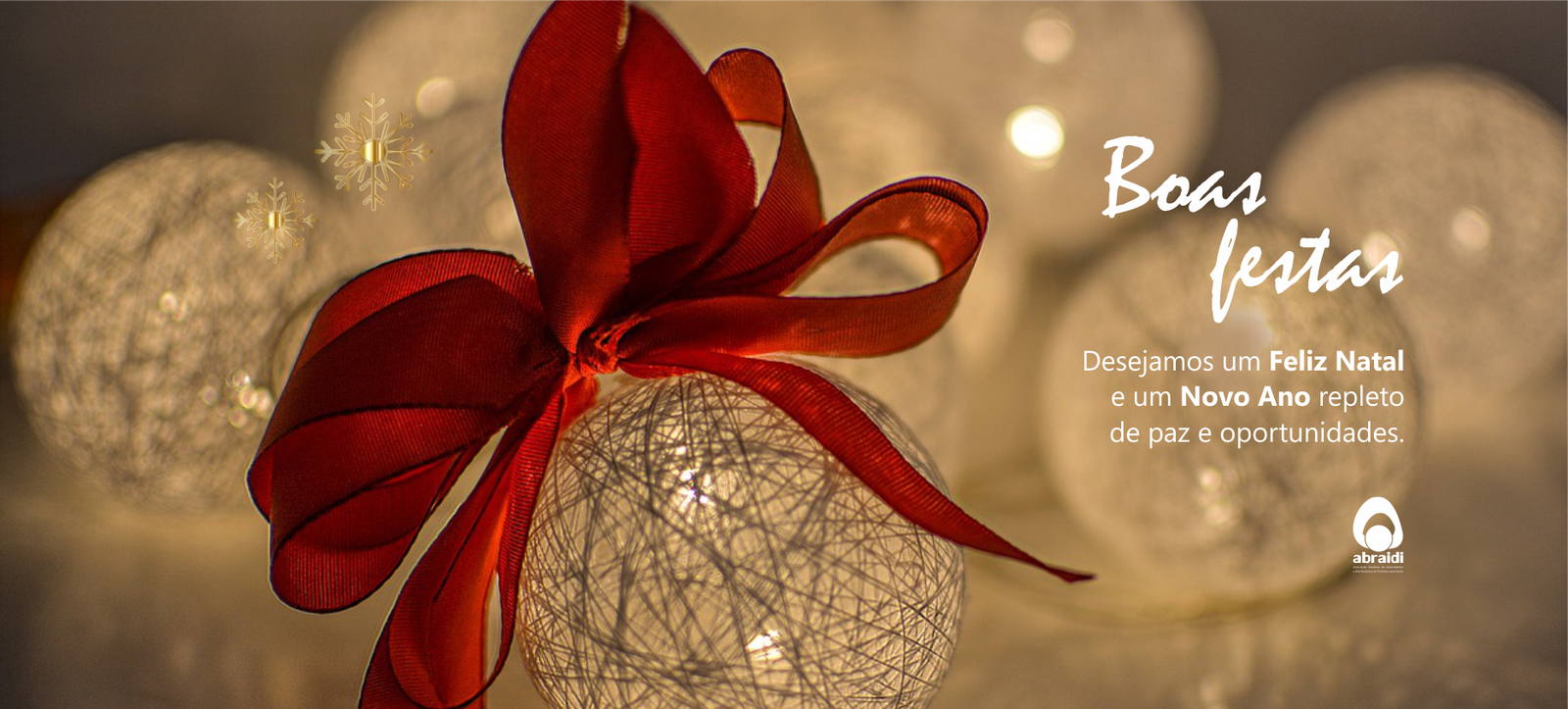 Boas Festas e Feliz 2025!